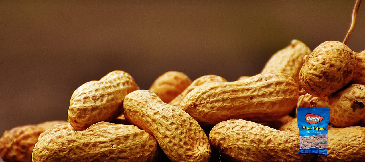 PRODUCTOS CACHI